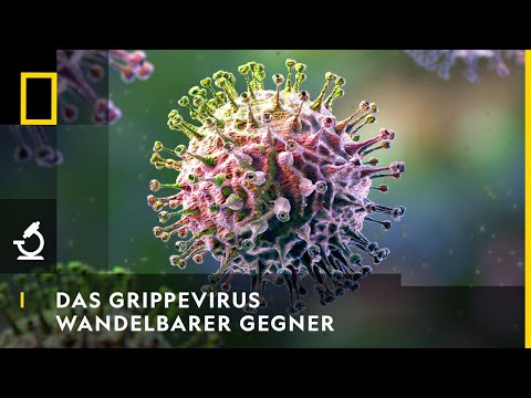 DAS GRIPPEVIRUS - Wandelbarer Gegner | National Georgaphic