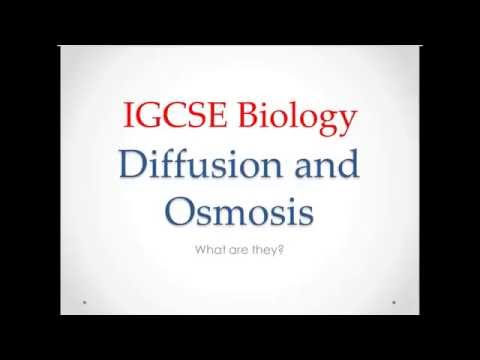 IGCSE Biology - Diffusion and Osmosis
