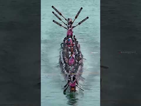 Kerala Boat Race | Awesome dragonboat team work #Shorts