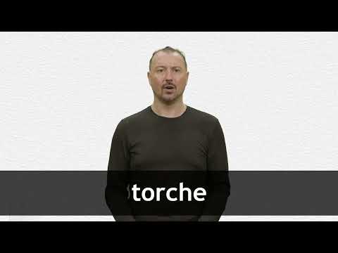 English Translation of “TORCHE” | Collins French-English Dictionary