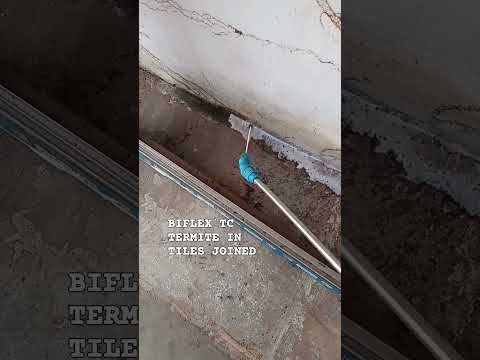 BIFLEX TC AND DURMET TC WHITE ANTS RIDE .TERMITE TREATMENT IN TILES AND WALL 9042374080
