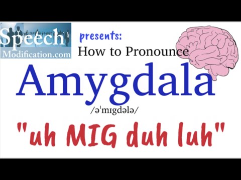 How to Pronounce Amygdala