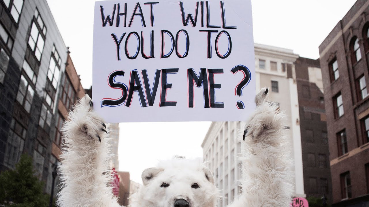 Election 2020: What the election results could mean for climate change