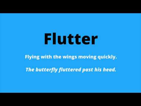 Learn English Vocabulary - Flutter