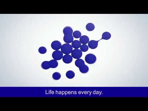 Diversey | Let's Live (English Subtitles)
