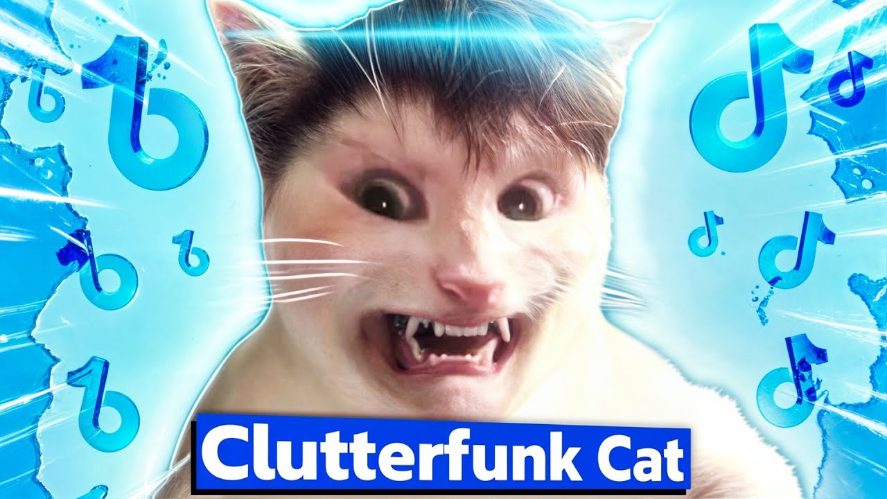 Meet Clutterfunk Cat. Now a Meme