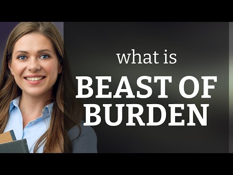 Understanding the Phrase "Beast of Burden"