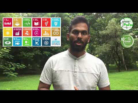 Sustainable Development Goals - SDG #12