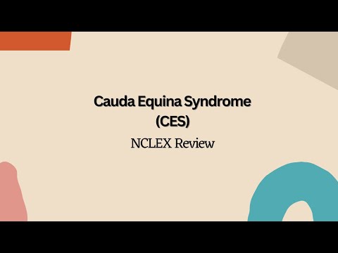 Cauda Equina Syndrome (CES) --- NCLEX Nursing Review