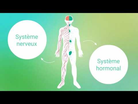 1-TUTO-FORMATION GESTION DU STRESS Comprendre les mécanismes du stress - Institut François Bocquet