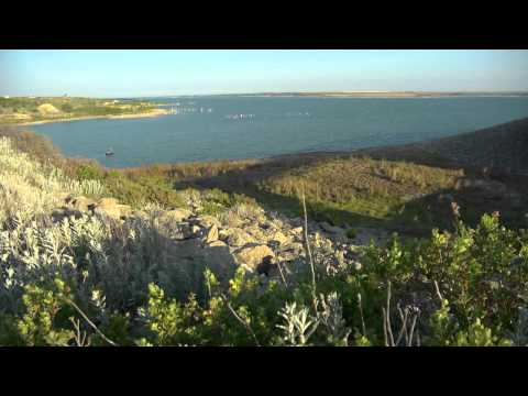 Top 11 Scenic Drives in Kansas for Breathtaking Views