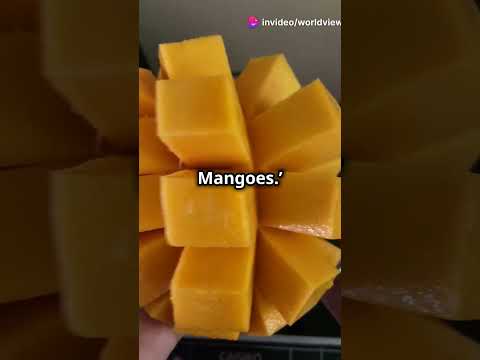 Top 5 Mangoes You Need to Try!