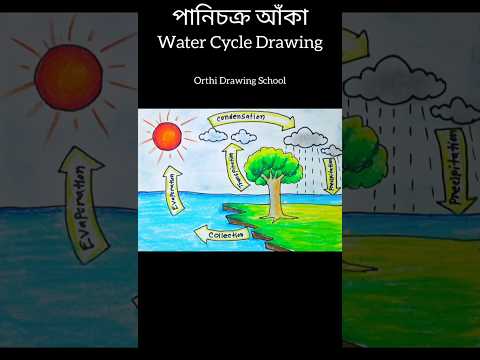 How to draw water cycle #shorts #drawing #watercycle