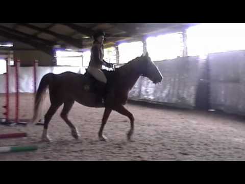 Gemma S. - Comparison Footage end of Jan 2012 - mid May 2012
