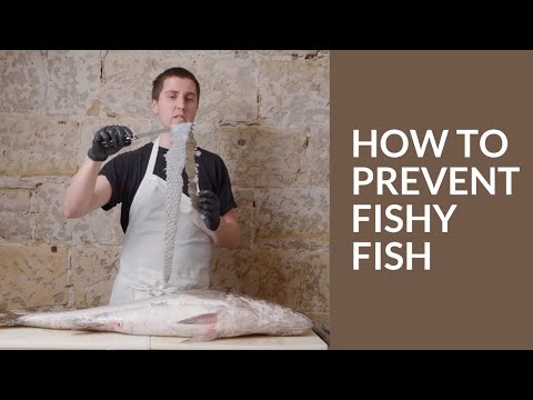 Masterclass: The Whole Fish with Chef Josh Niland, Using Fish Scales