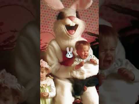 Scary Bunny! #shorts #viral #trending