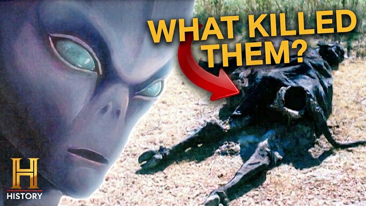 Rural UFO Encounters That Defy Logic | UFO Files