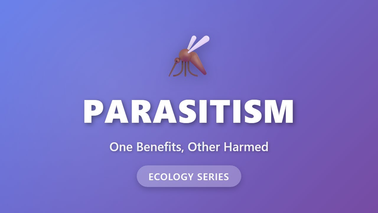 Parasitism Explained: One Benefits, Other Harmed | Ecology Basics for Beginners