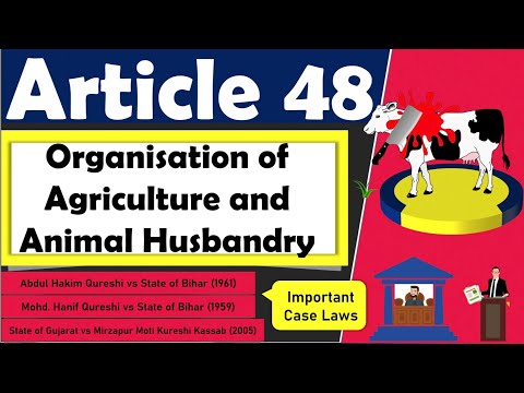 Article 48|Organisation of Agriculture & Animal Husbandry|Slaughter of Cows|Important case laws|DPSP