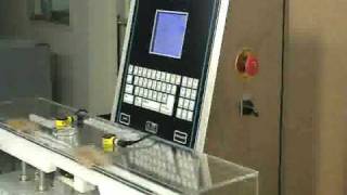 TSC 350 - Thompson Scale Company - Checkweighers