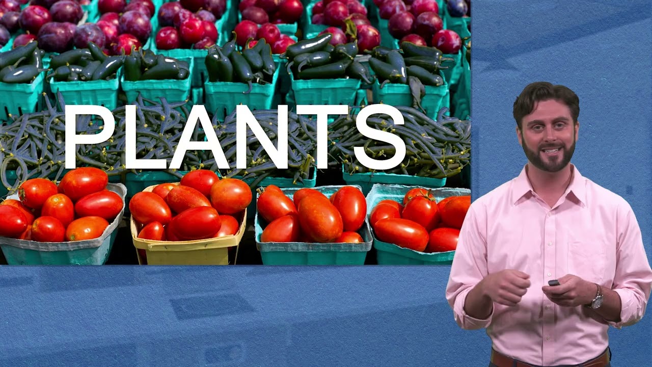 Low-Cost, High-Nutrition Eating for Graduate Students: Nutrition Basics