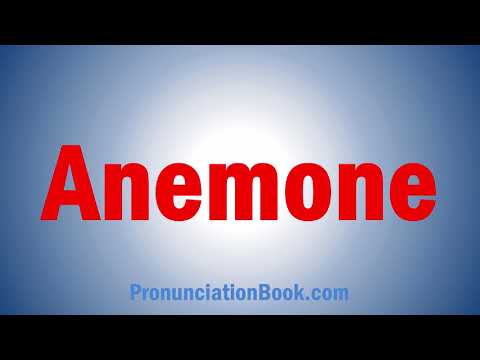 How to Pronounce Anemone in British English