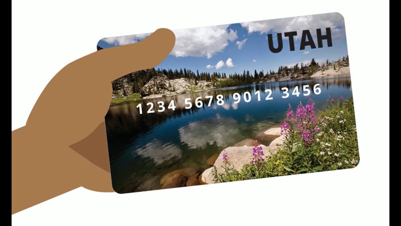 WIC Checkout Instructions Video