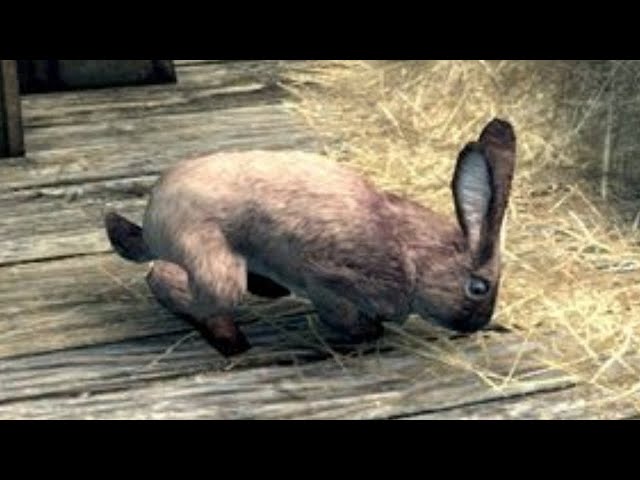 Top 5 Pets in The Elder Scrolls Skyrim