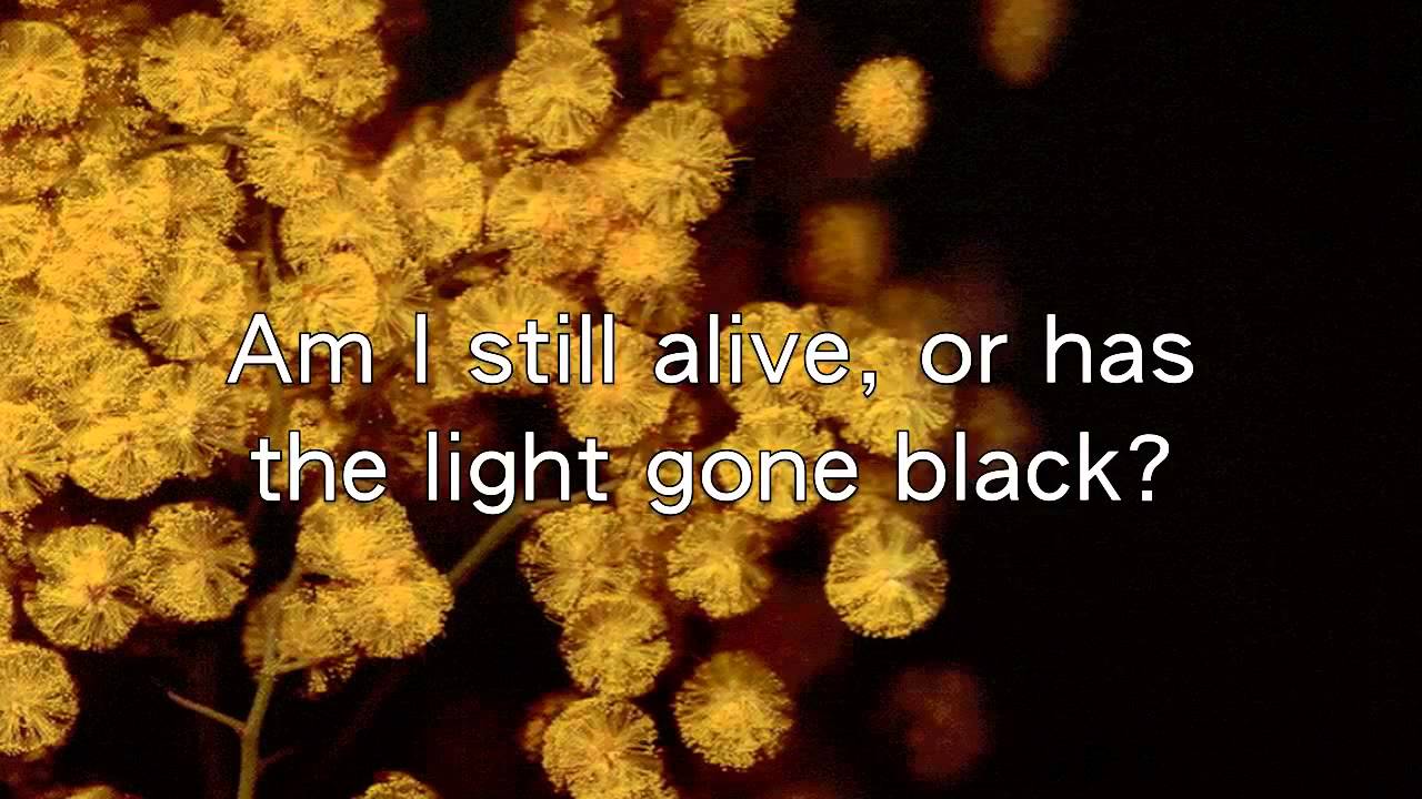 Phantogram   When I'm Small   Lyrics