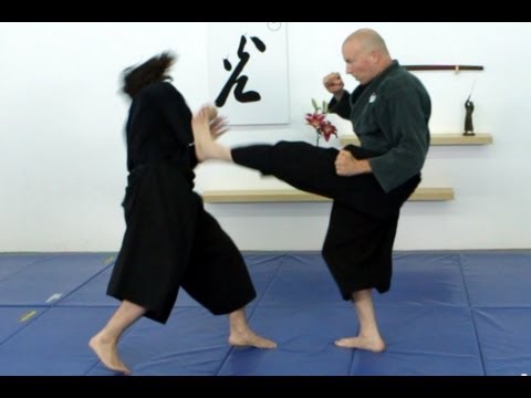 Ninjutsu Kicks | AKBAN