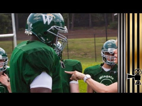 The Invisible Side: plot and meaning of the sports drama | What's the Meaning of the movie