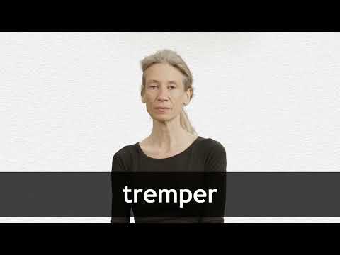 English Translation of “TREMPER” | Collins French-English Dictionary