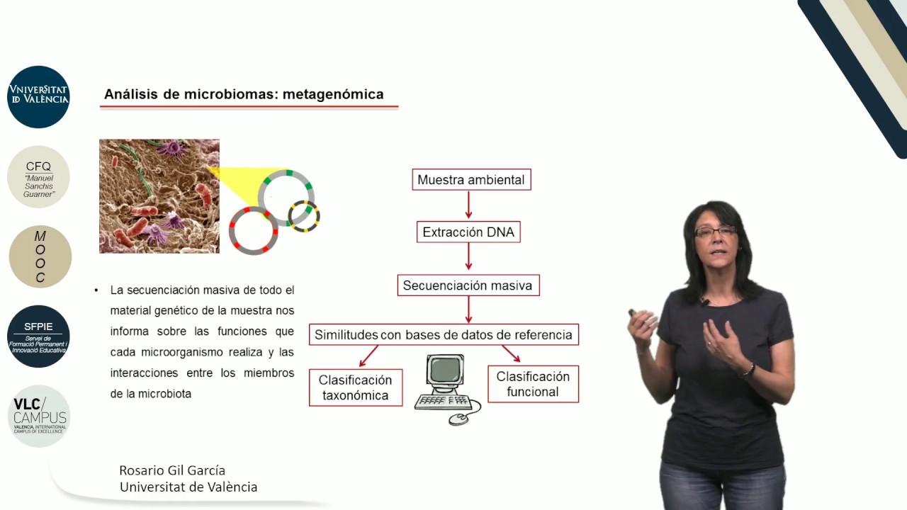 2.3. Genómica estructural