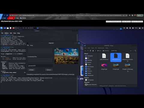 How to embed and extract a text into image Kali Linux Stegosuite