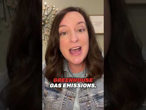 Project 2025 Explained: Undo Climate Action