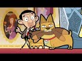 Mr Bean Cup Watch HD Mp4 Video Download Free