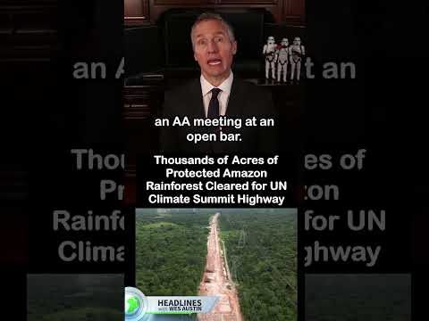 Amazon Rainforest Bulldozed to Build Highway for UN Climate Summit #climate #climatesummit #cop30