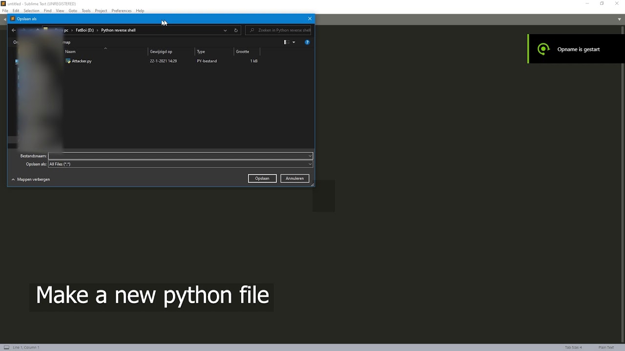 Create reverse shell in python (Simple)