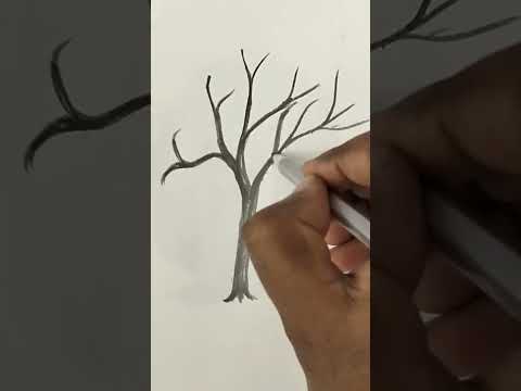 How To Draw A Dry Tree Easy #shorts #drawing #youtubeshorts #art #artist