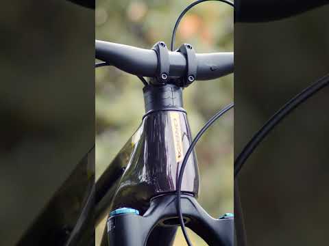 ORBEA WILD M LTD