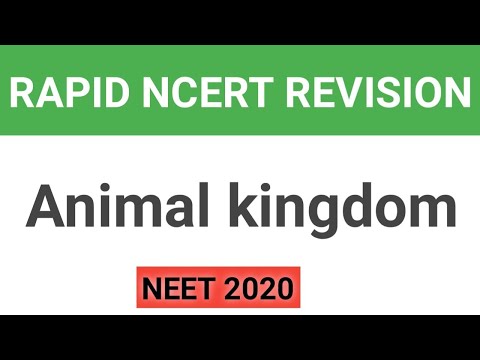 LIVE | CLASS XI | UNIT 1| ANIMAL KINGDOM | RAPID NCERT REVISION NEET 2020 |
