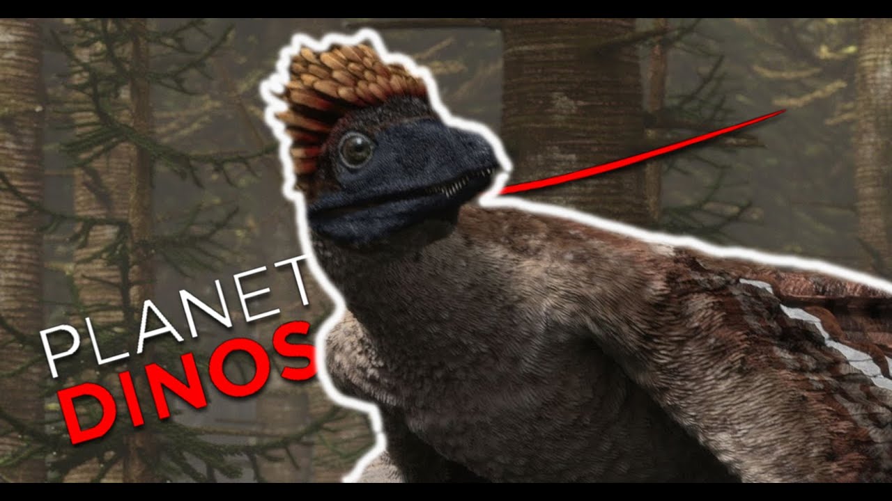 Planet Dinosaur - Microraptor gui