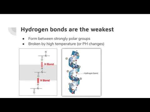 1.4 Proteins REVISION IN 4 MINUTES! (A Level Biology)