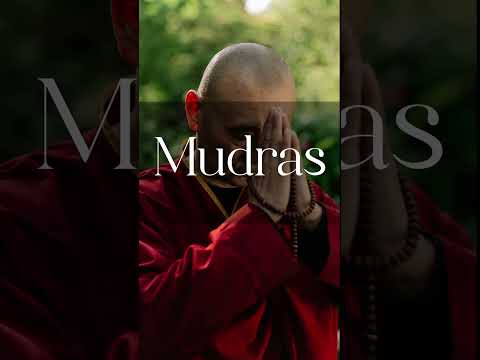 ✨ MUDRA ✨ Explore the ancient art of Buddhist hand gestures!