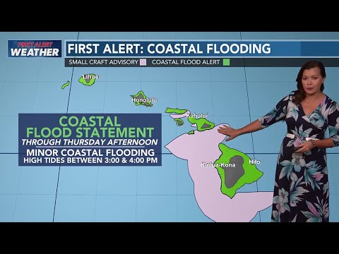 Hawaii News Now at 6.24 Jennifer Robbins