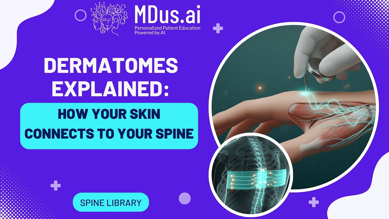 Dermatomes Explained: How Your Skin Connects to Your Spine
