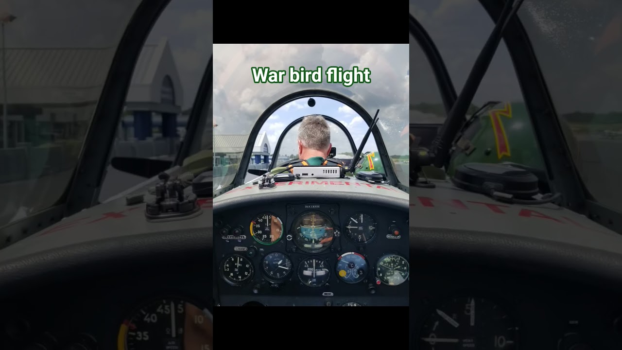 That one time I got to go up in a war bird for Memorial Day!! #shorts #warbird #warbirds #flying