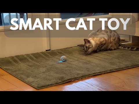 Smart Interactive Cat Toy Review