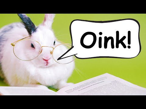What sound does a RABBIT make? | Farm Animals