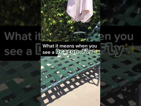What is means when you see a Dragonfly! #shorts